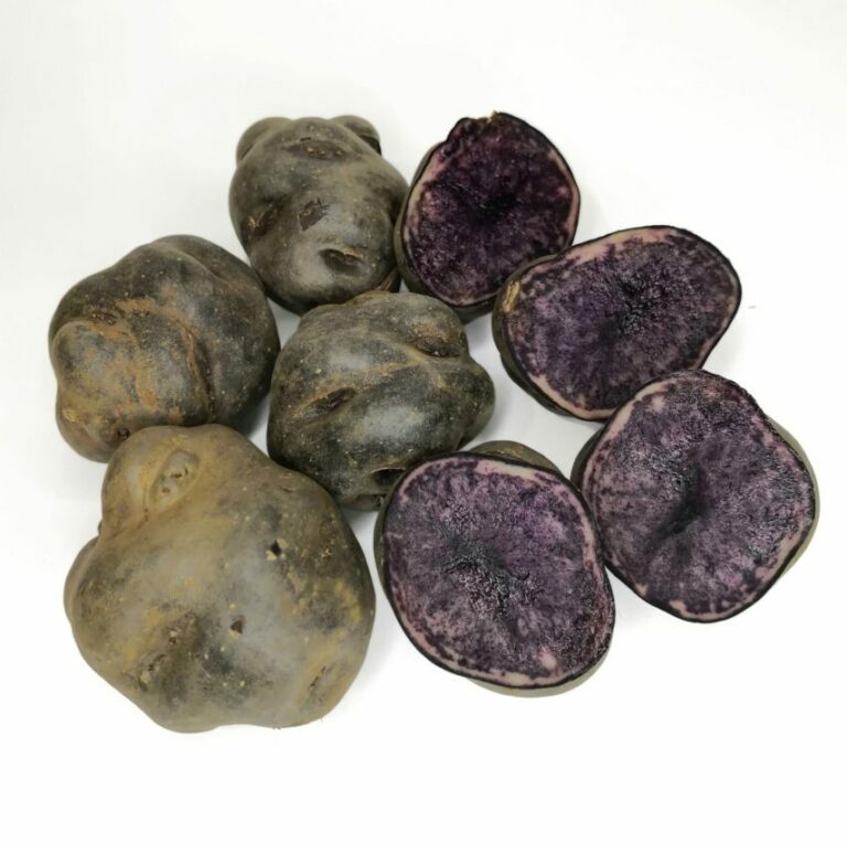 Mishki La Loción Limpia El Cutis Con Suavidad Sin Dejar Una Capa Oleosa ...